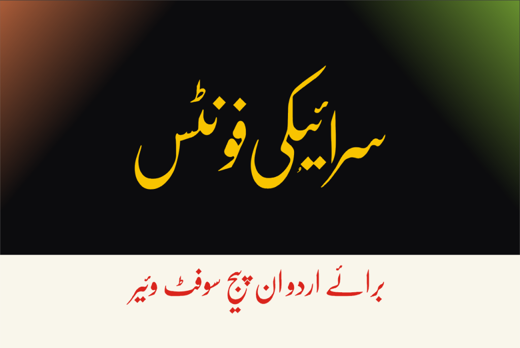 Saraiki Fonts For InPage 3 Professional | Siraika Font | Urdu Sukhan
